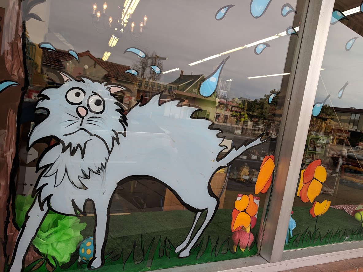 Pet Store Windows – East Bay Murals